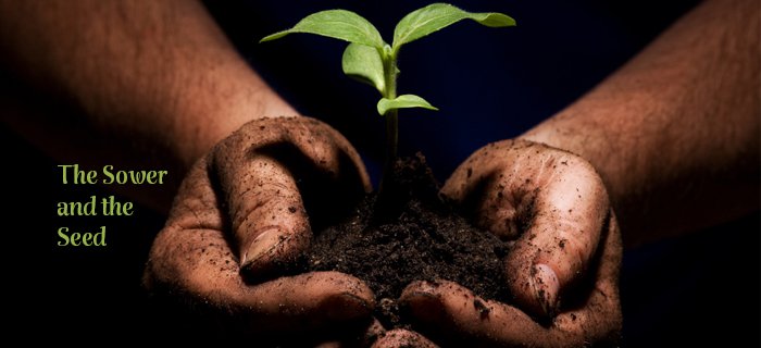 Believers Must Sow God’s Word | Articles | Moody Church Media