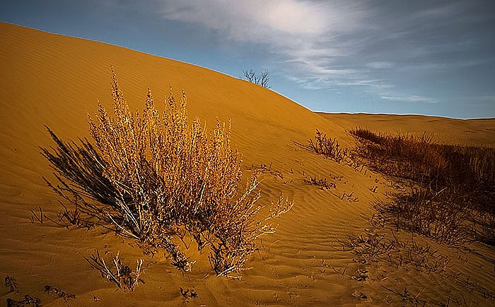 O Leave Completely And Finally Forsake Utterly Desert Best Sale ...