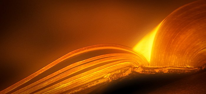 The Word Of God | Moody Church Media | Articles | Moody Church Media